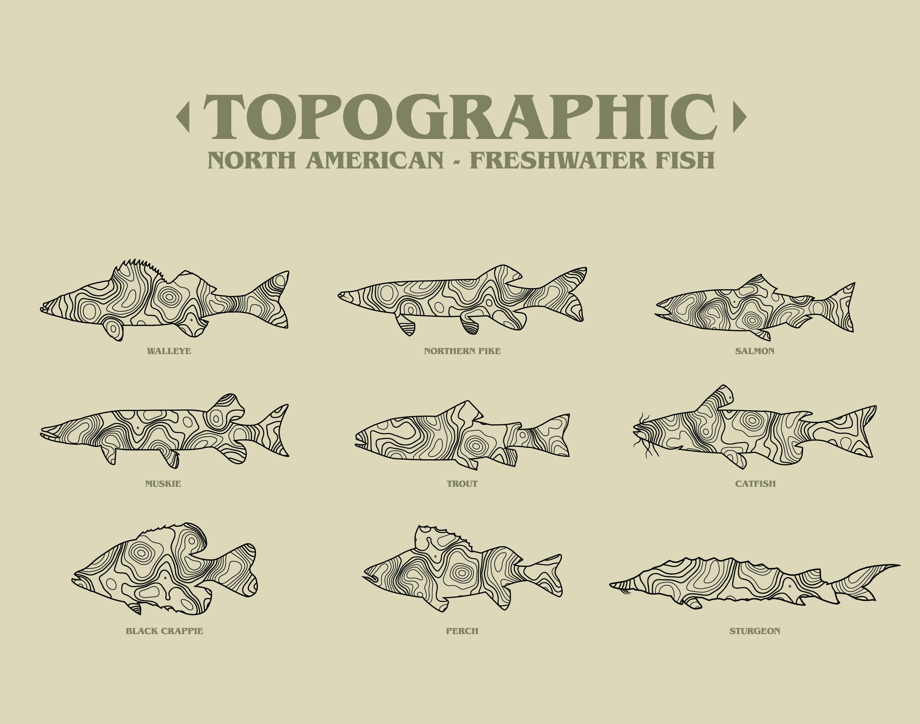 TOPO FRESHWATER FISH svg/pdf/eps/png - Etsy