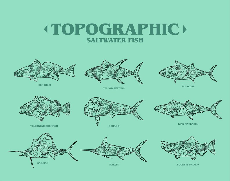 TOPO SALTWATER FISH (svg/pdf/eps/png) - Etsy