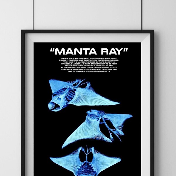 Manta Ray Print - Etsy