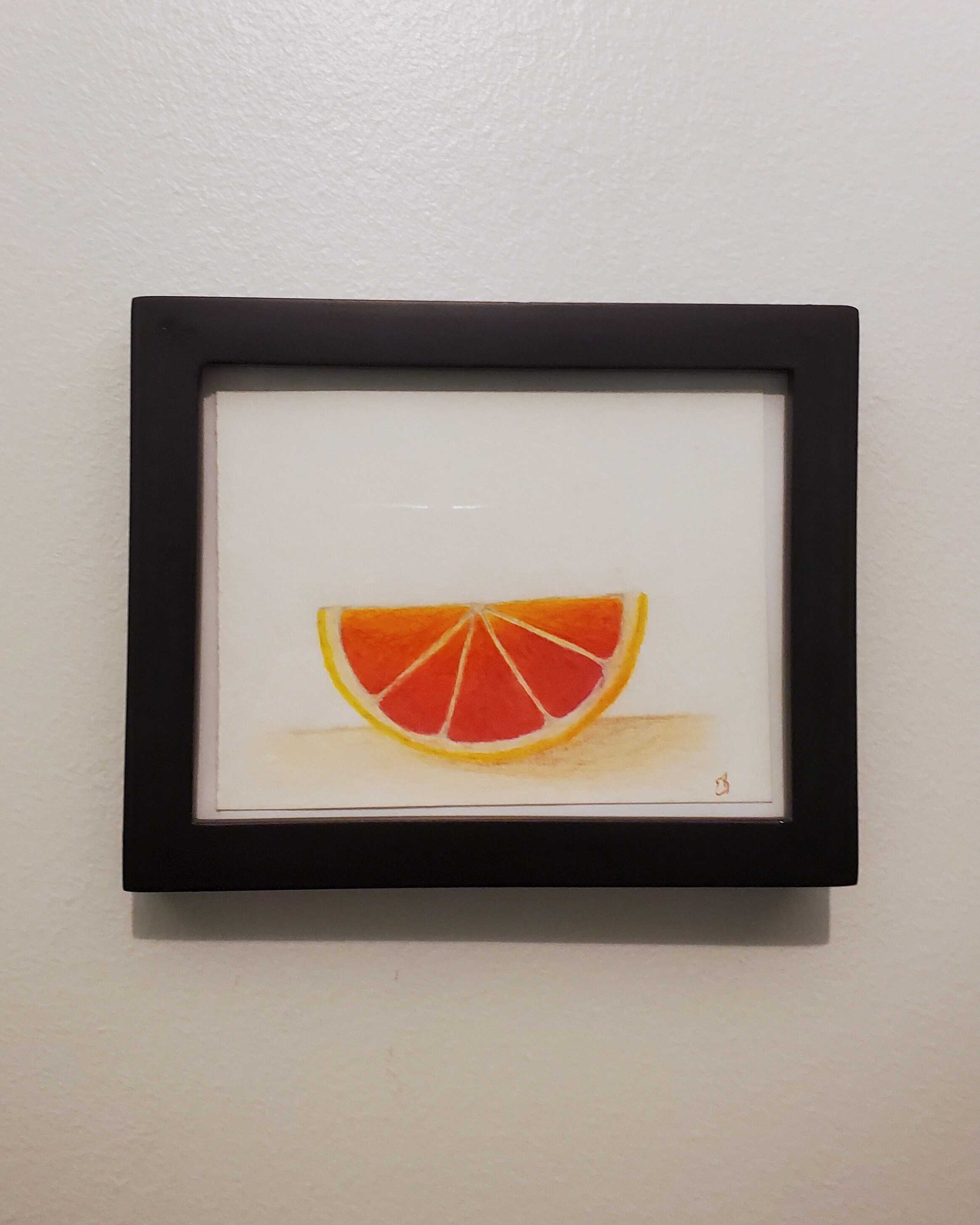 Grapefruit Slice Colored Pencil Drawing (limited Edition Print) by Emma ...