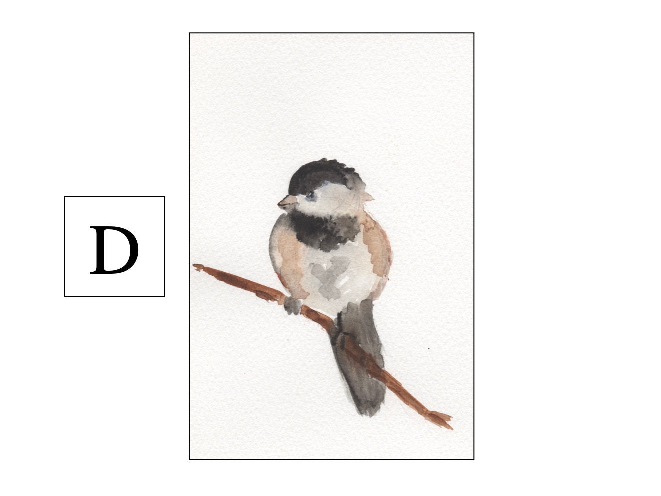 Bird Bundle! (limited Edition Print Set) by Emma and Rachelle Brown - Etsy