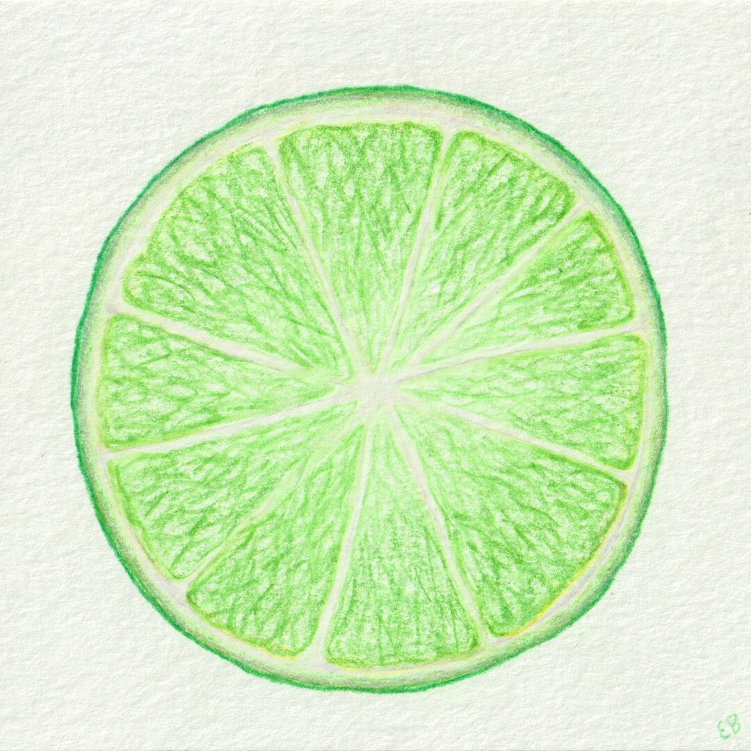 Lime Slice Colored Pencil Drawing original 4 by - Etsy