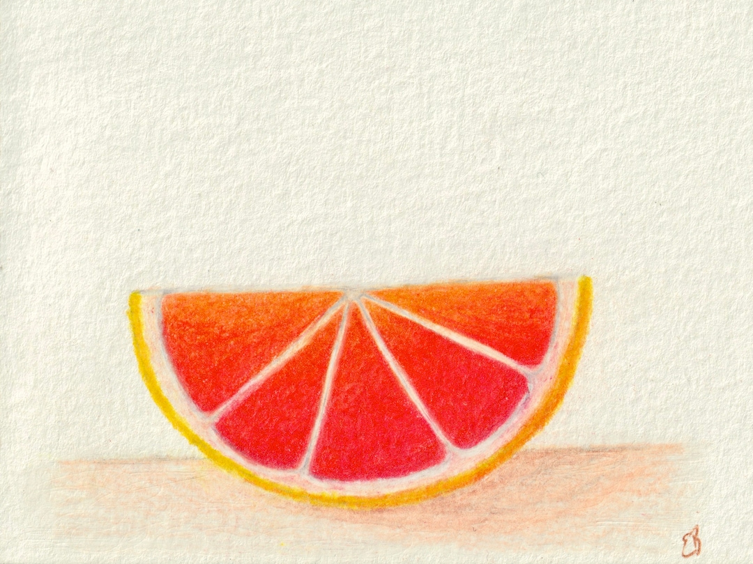 Grapefruit Slice Colored Pencil Drawing (limited Edition Print) by Emma ...