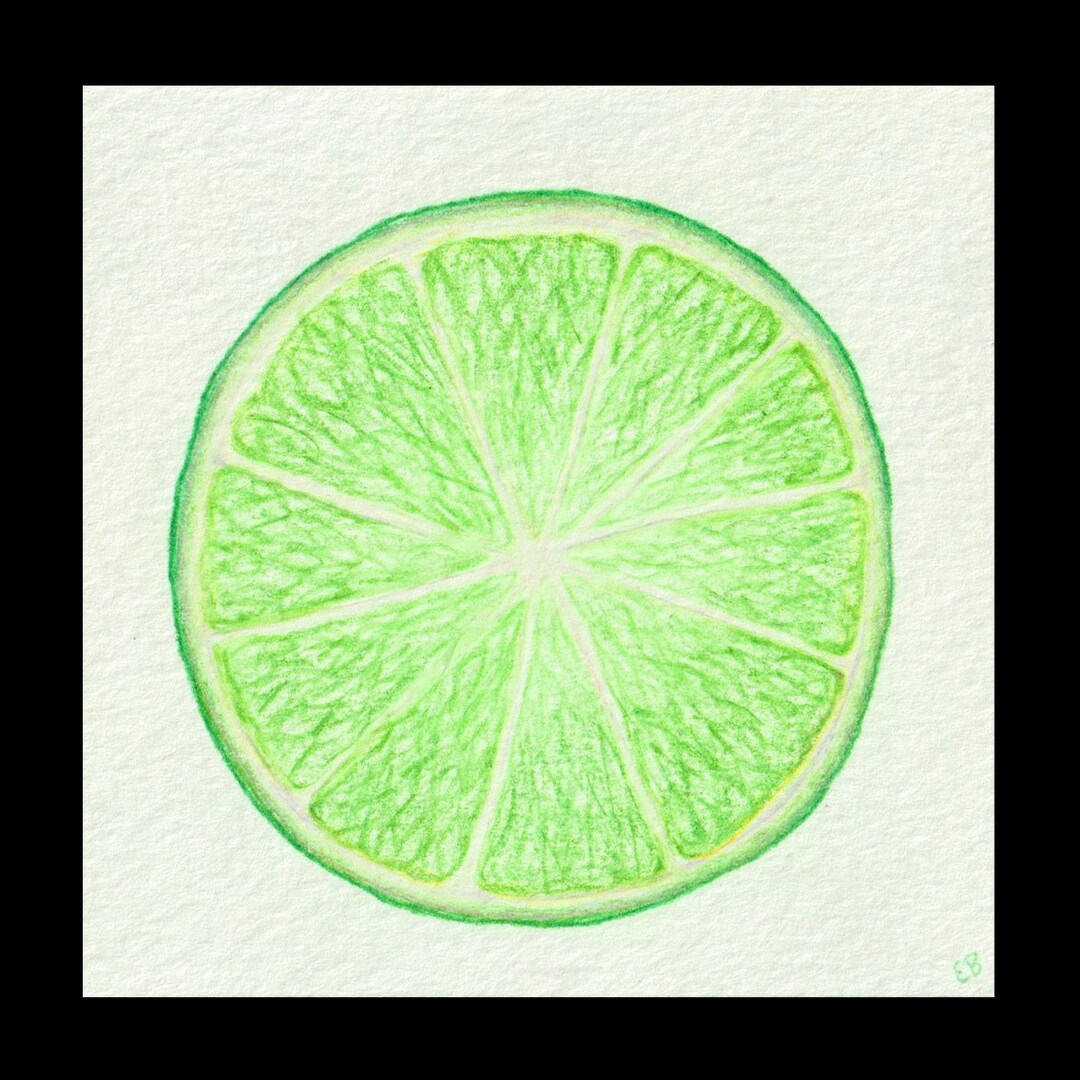 Lime Slice Colored Pencil Drawing (original, 4" by 4") by Emma Brown - Etsy