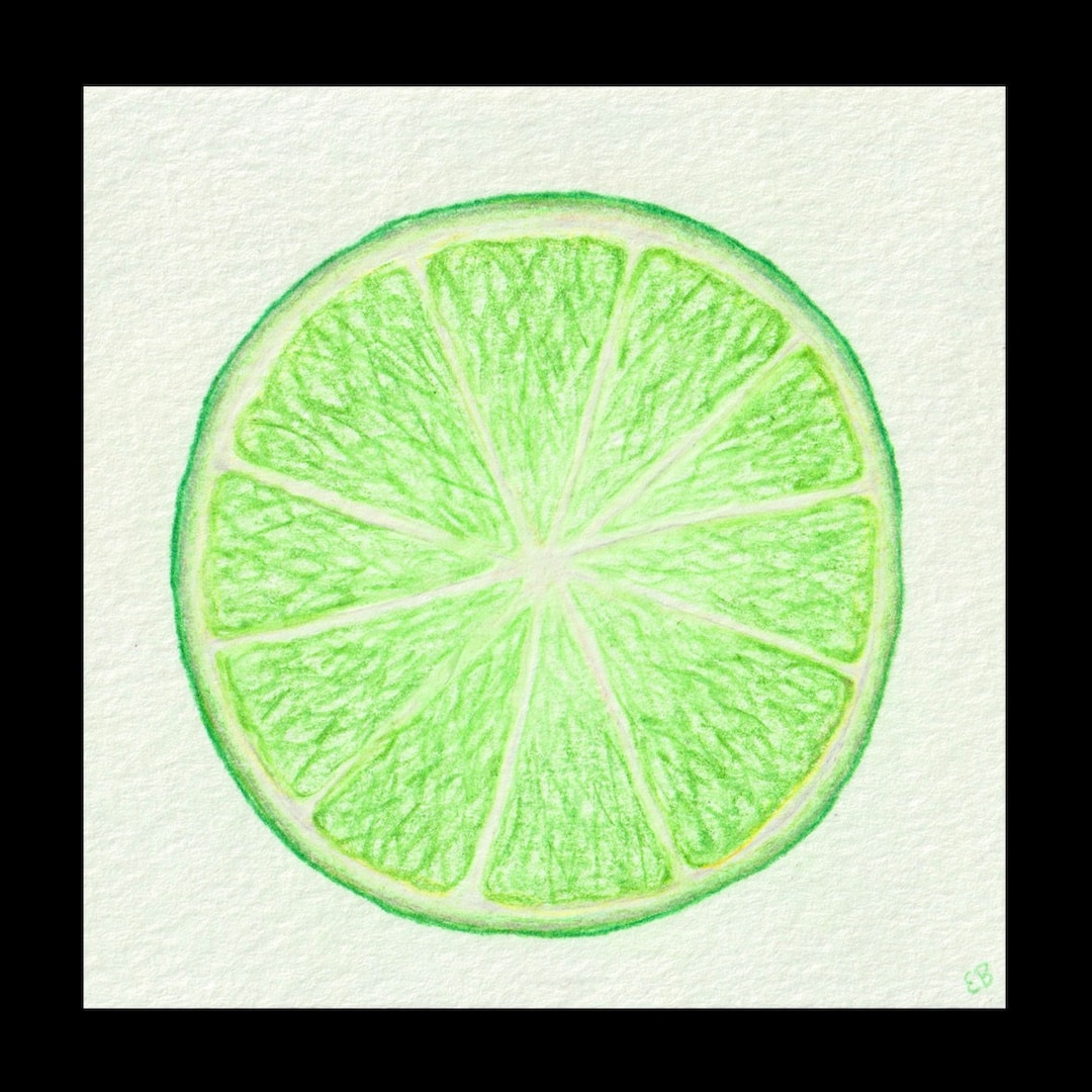 Lime Slice Colored Pencil Drawing (limited Edition Print) by Emma Brown ...