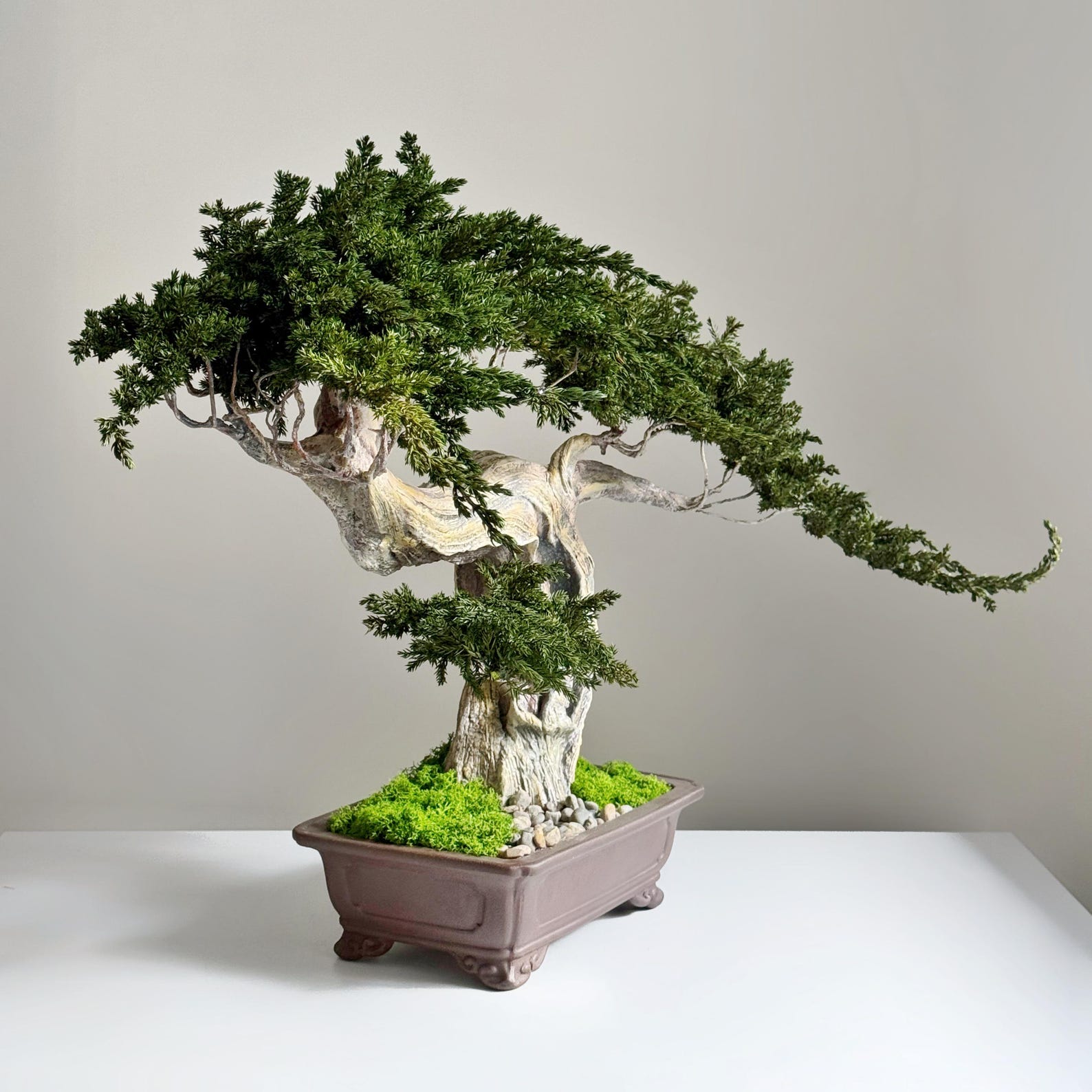 Large Preserved Juniper Bonsai Tree With Moss - Japanese Zen Decor for ...