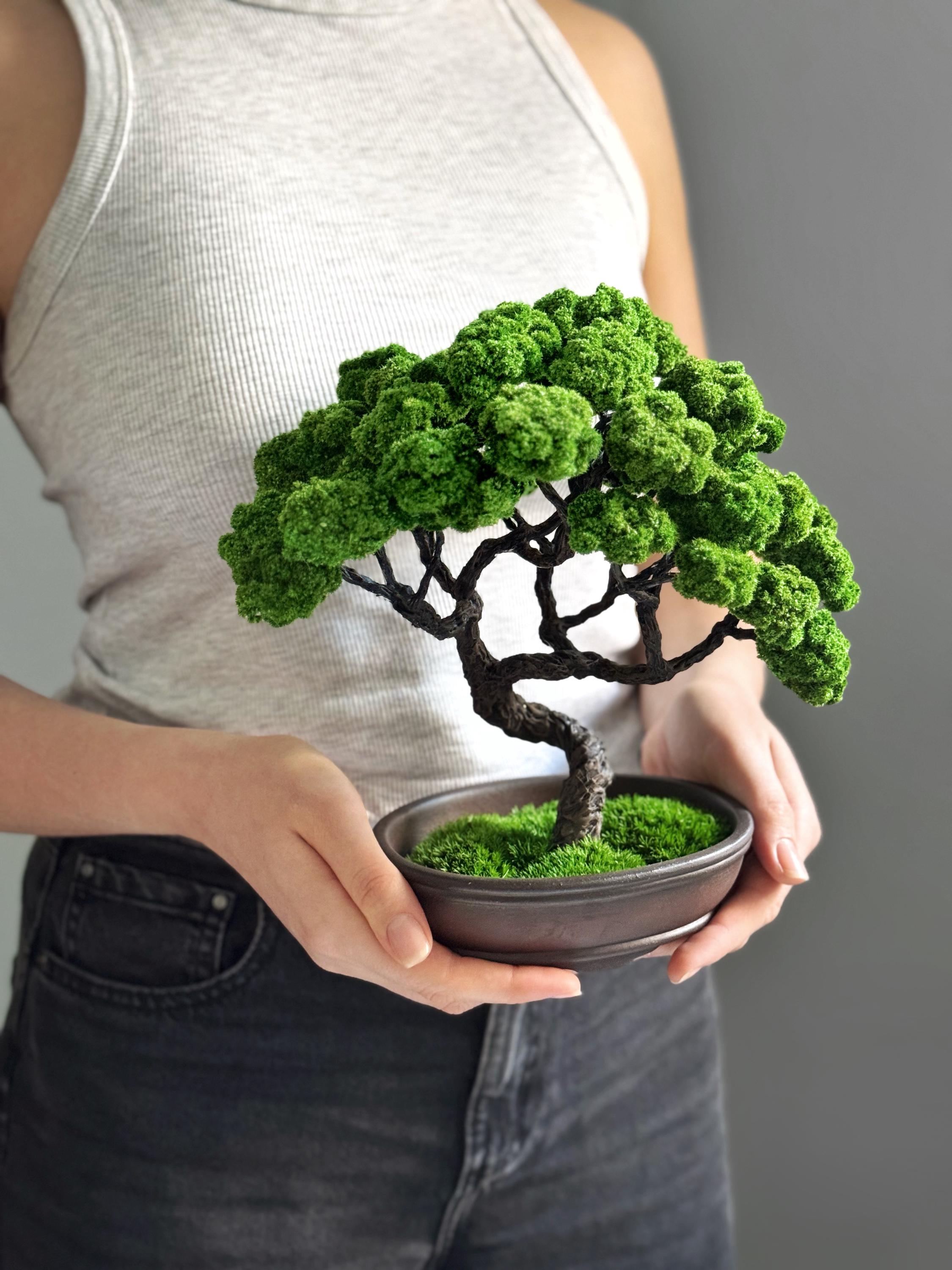Perfect Low-maintenance Bonsai Tree - Elegant Japanese Table Home Decor ...