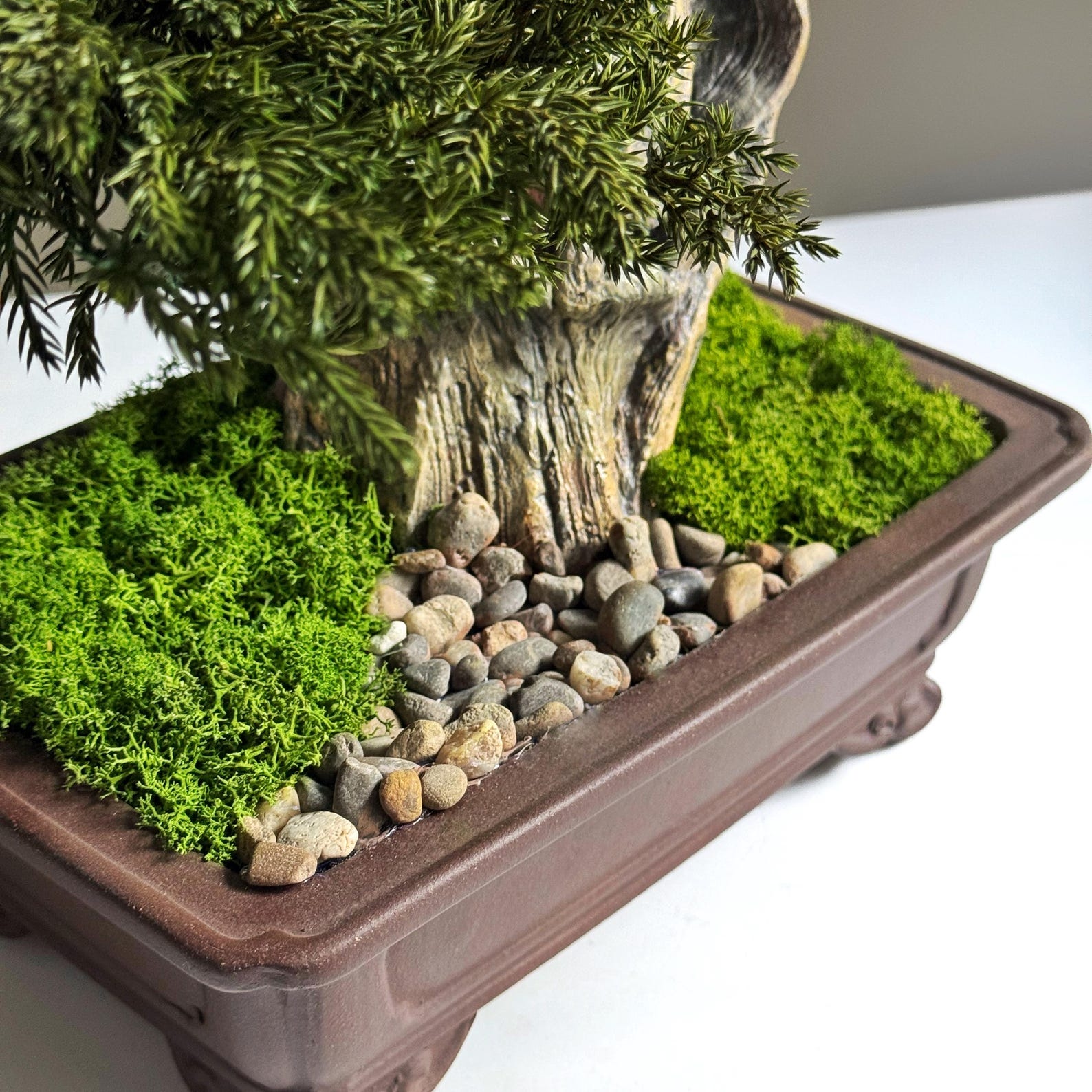 Large Preserved Juniper Bonsai Tree With Moss - Japanese Zen Decor for ...