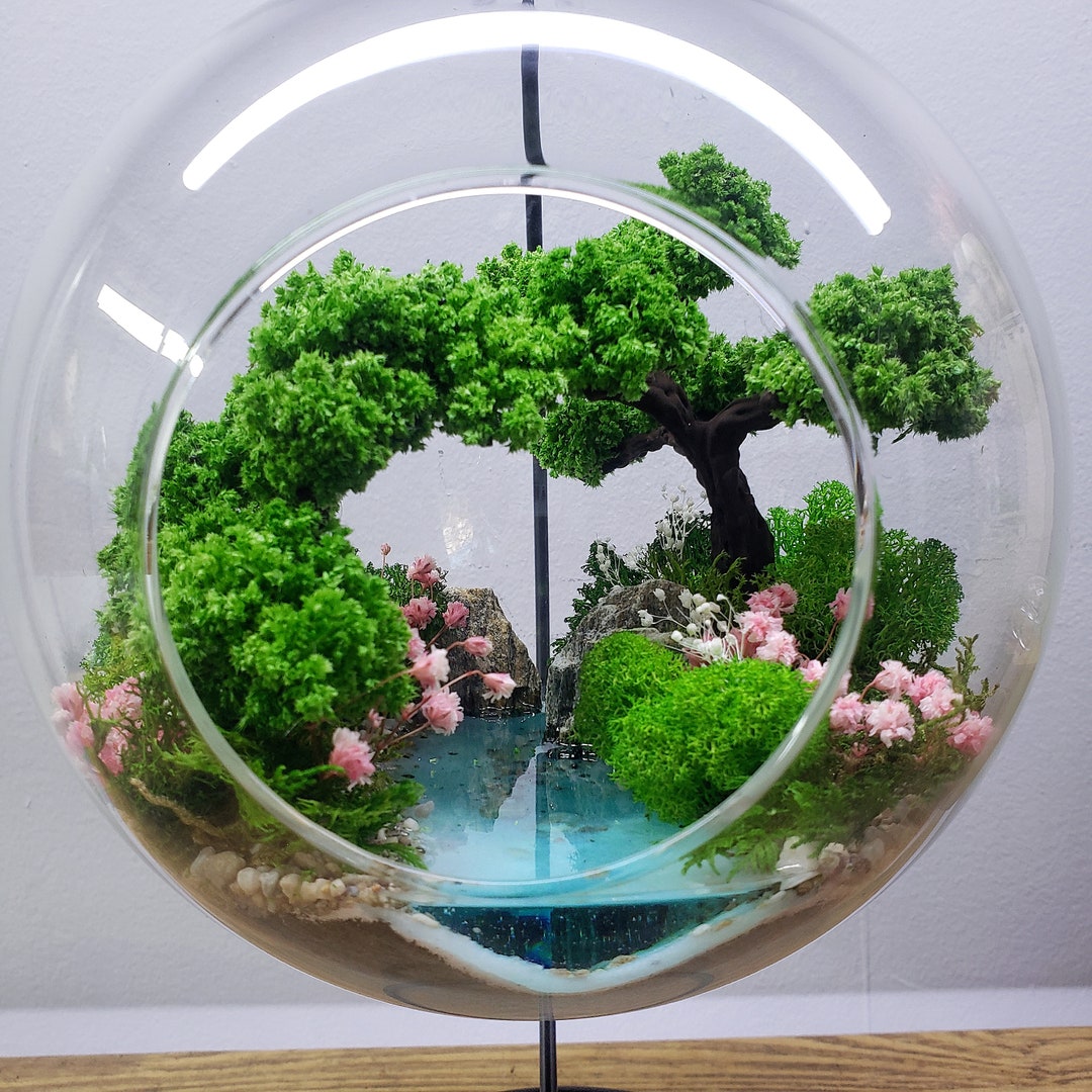 Hanging Small Terrarium With Preserved Moss and Epoxy Art, Luminous ...