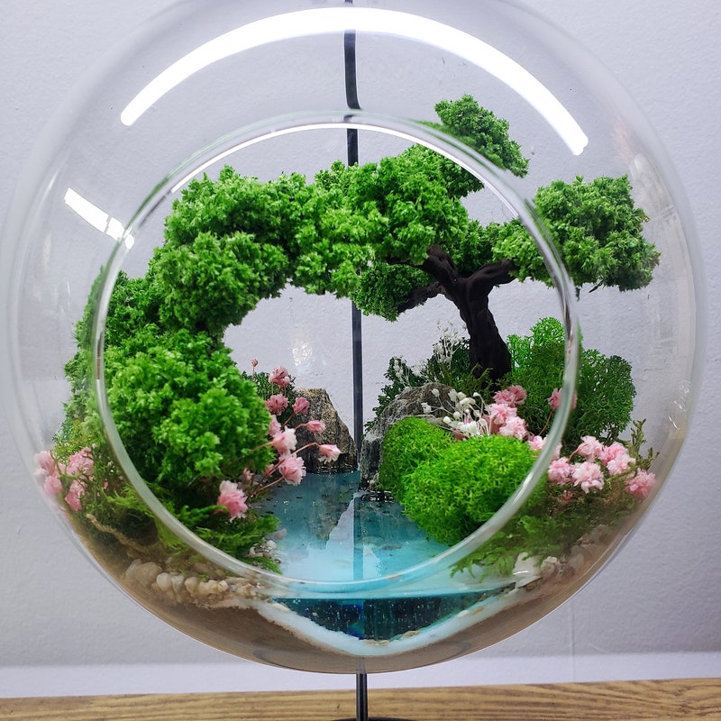 Hanging Terrarium - Etsy