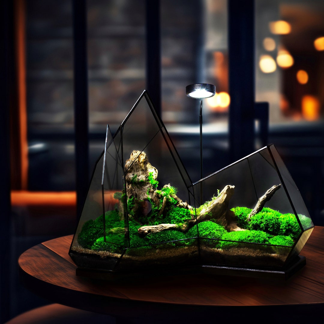 Modern Home Decor: Terrarium With Preserved Moss Art and Lamp ...