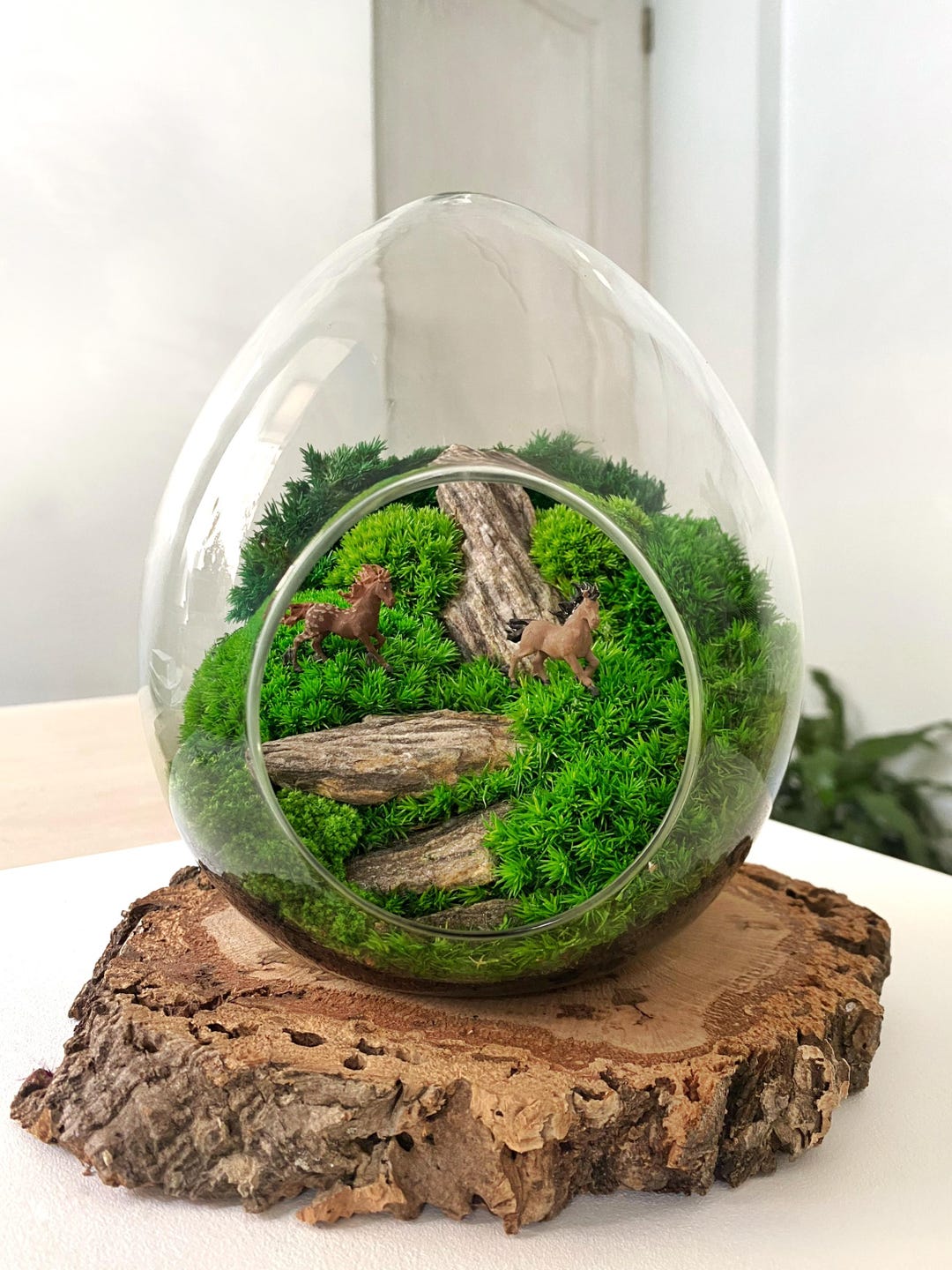 Glass Egg Terrarium With Preserved Moss – Horse or Family Miniature ...