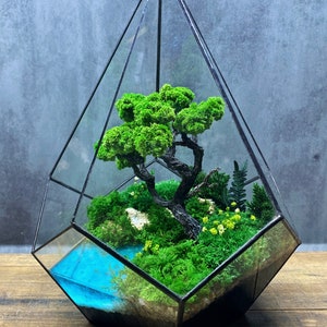 Crystal Pyramid With Preserved Moss Bonsai by the River, Desk Planter ...