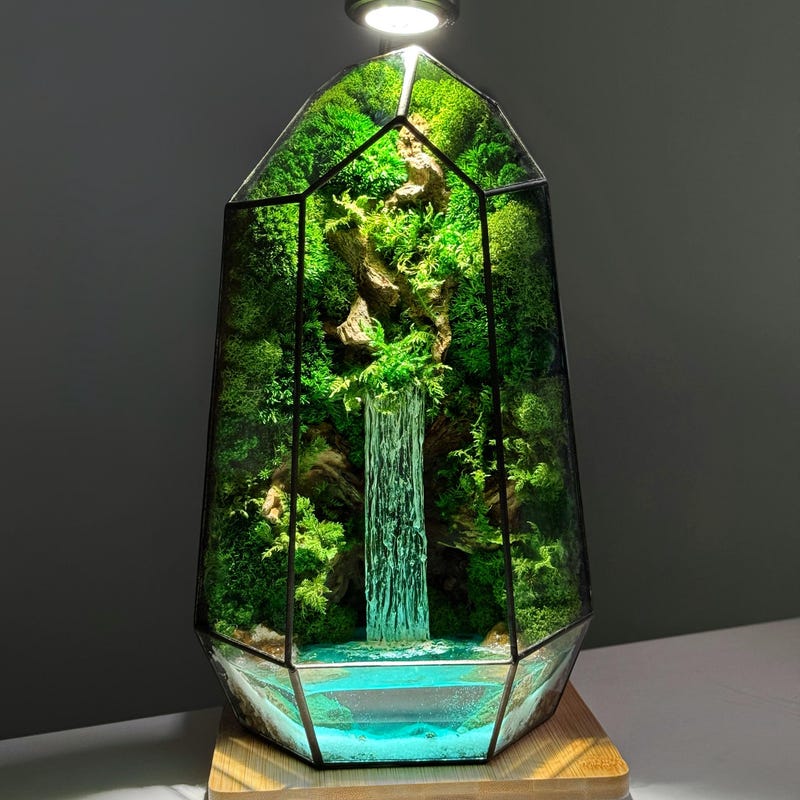 Moss Tree Terrarium Kit - Etsy