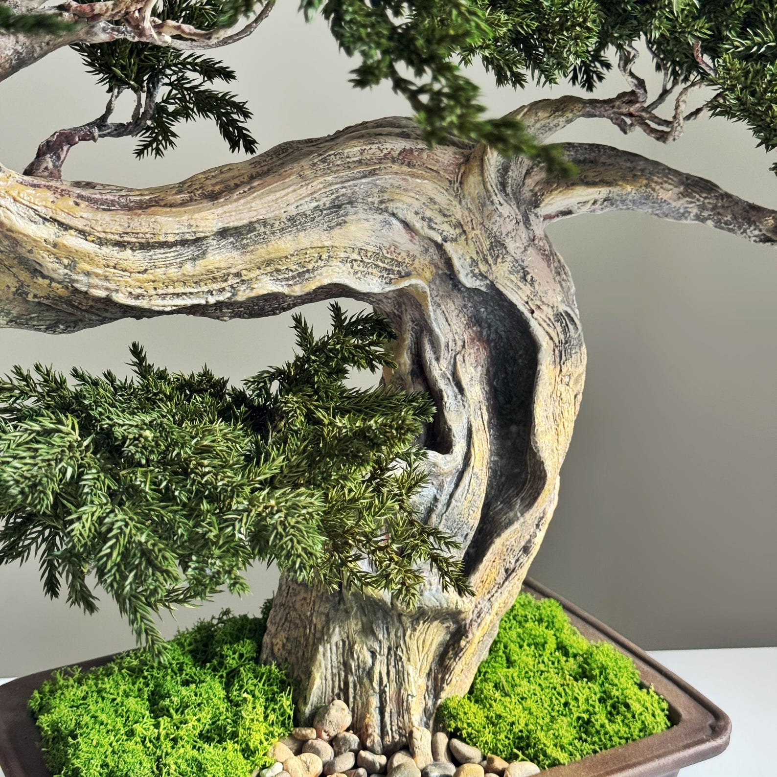 Large Preserved Juniper Bonsai Tree With Moss - Japanese Zen Decor for ...