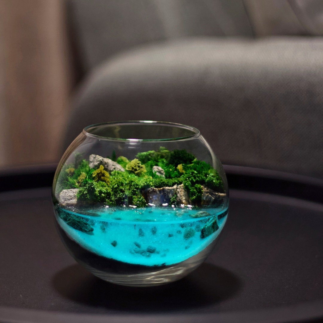 Preserved Moss Mini Terrarium, Glass Globe, Luminous Epoxy Water - Etsy