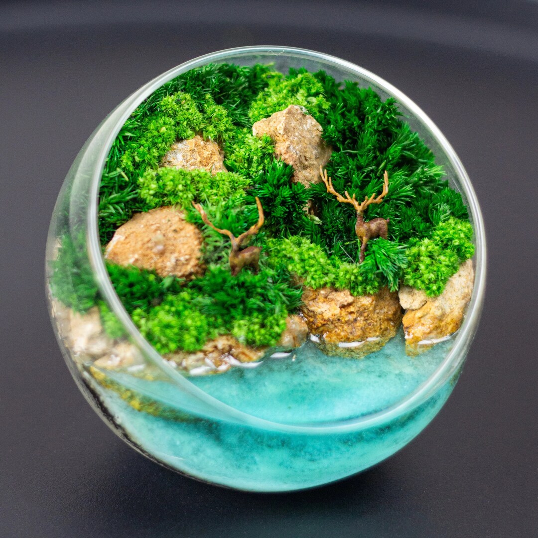 Mini Terrarium With Epoxy, Preserved Forest Aquarium Moss, Glow-in-the ...
