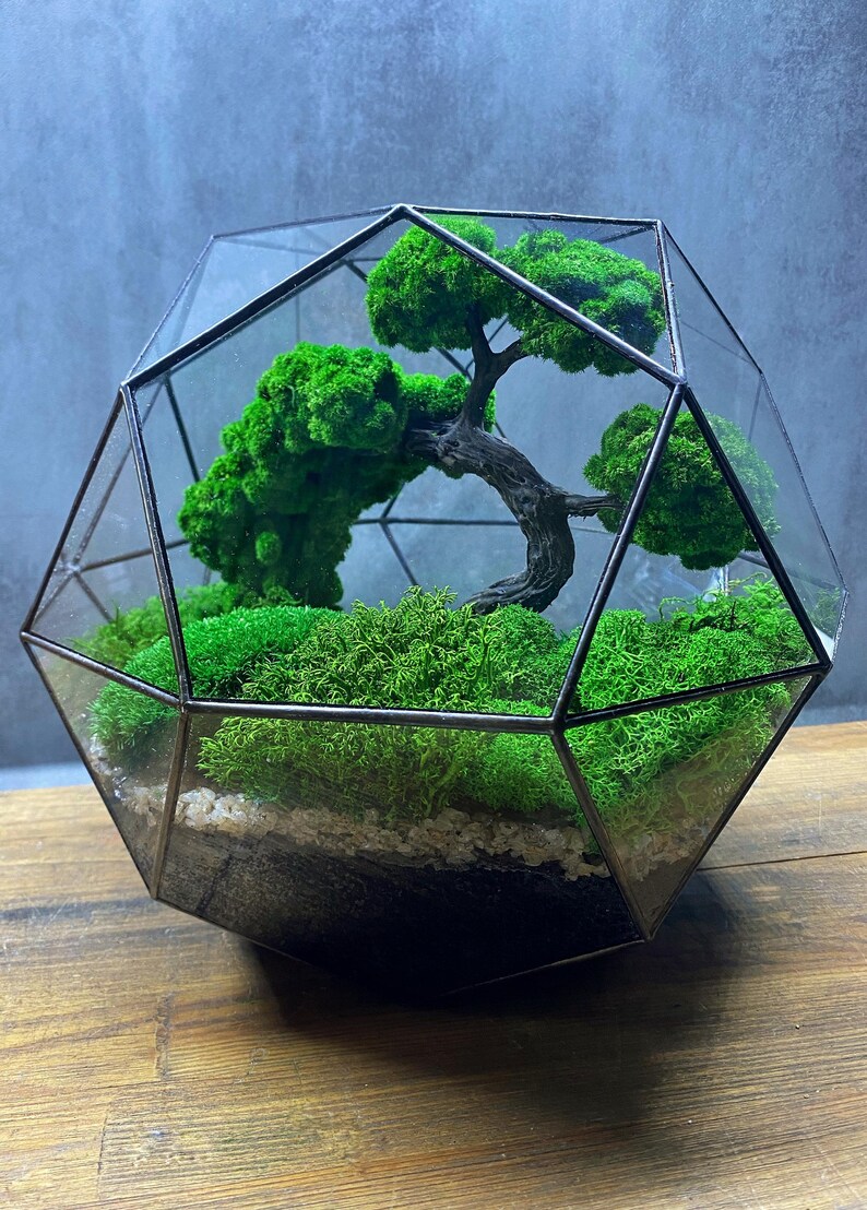 Crystal Pyramid Terrarium Moss Art, Glow-in-the-dark Epoxy River 13 ...