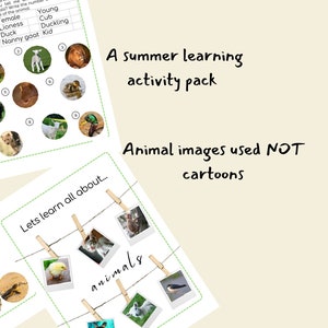 Printable Preschool Worksheets: Preschool Curriculum, Summer Workbook ...