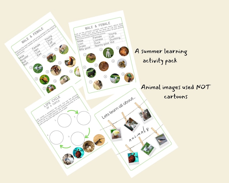 Printable Preschool Worksheets: Preschool Curriculum, Summer Workbook ...