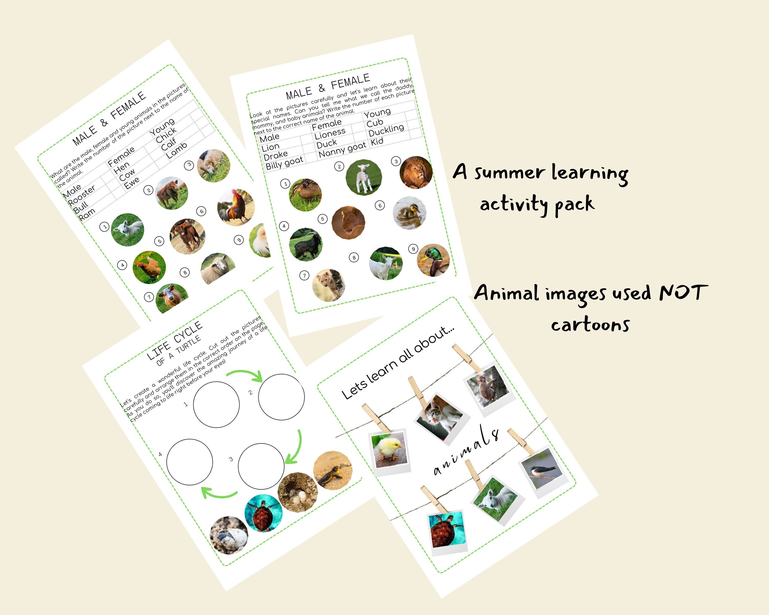 Printable Preschool Worksheets: Preschool Curriculum, Summer Workbook ...