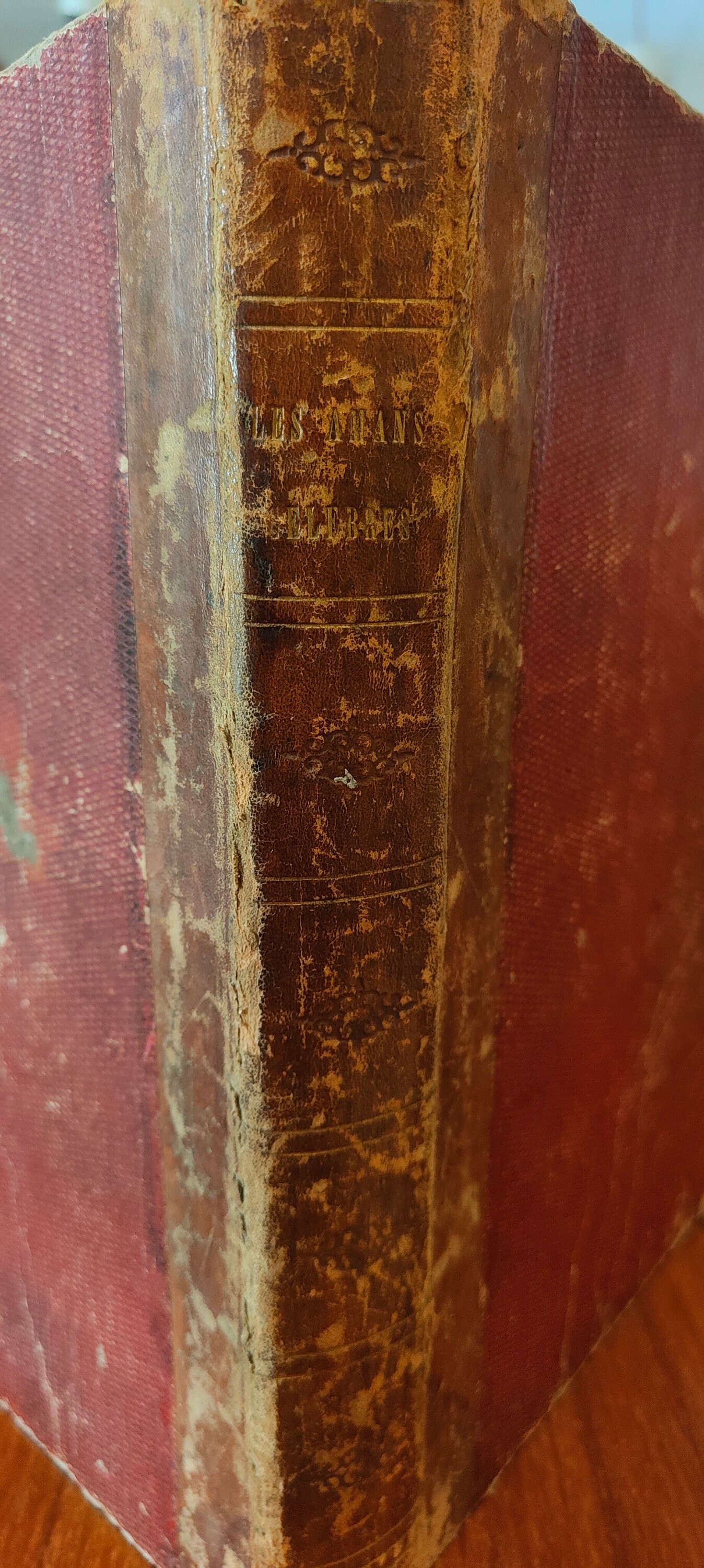 RARE Original Etching 1847 ORPHEUS from the Book Les Amans Célèbres by ...