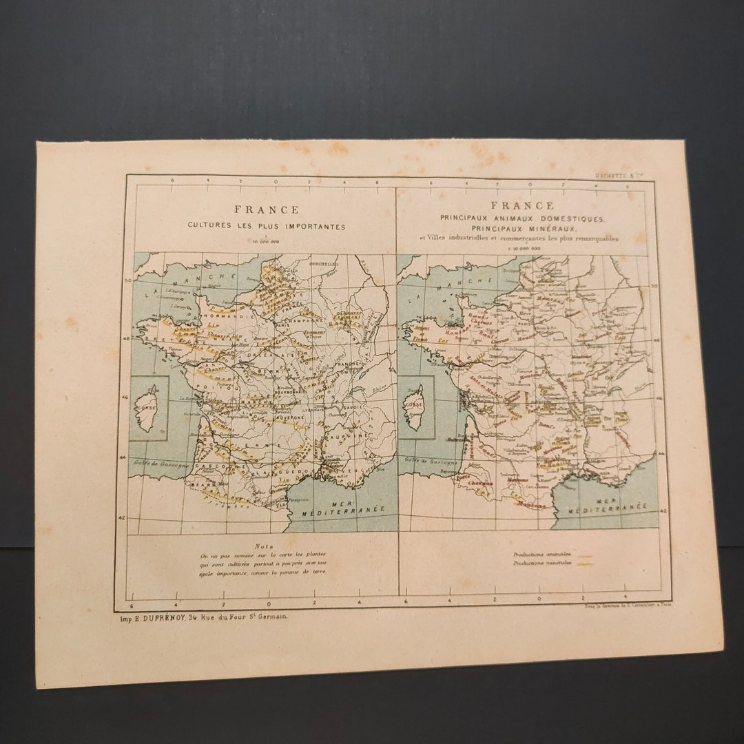 Original Engraving 1882 Economic Map of France - Etsy