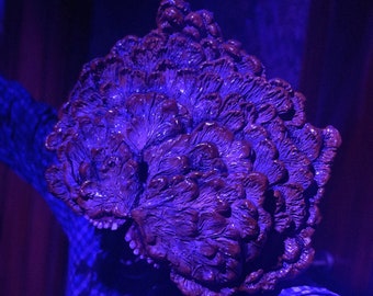 Zombie Halloween Mask, Latex Realistic Masks, Scary Halloween Masks ...