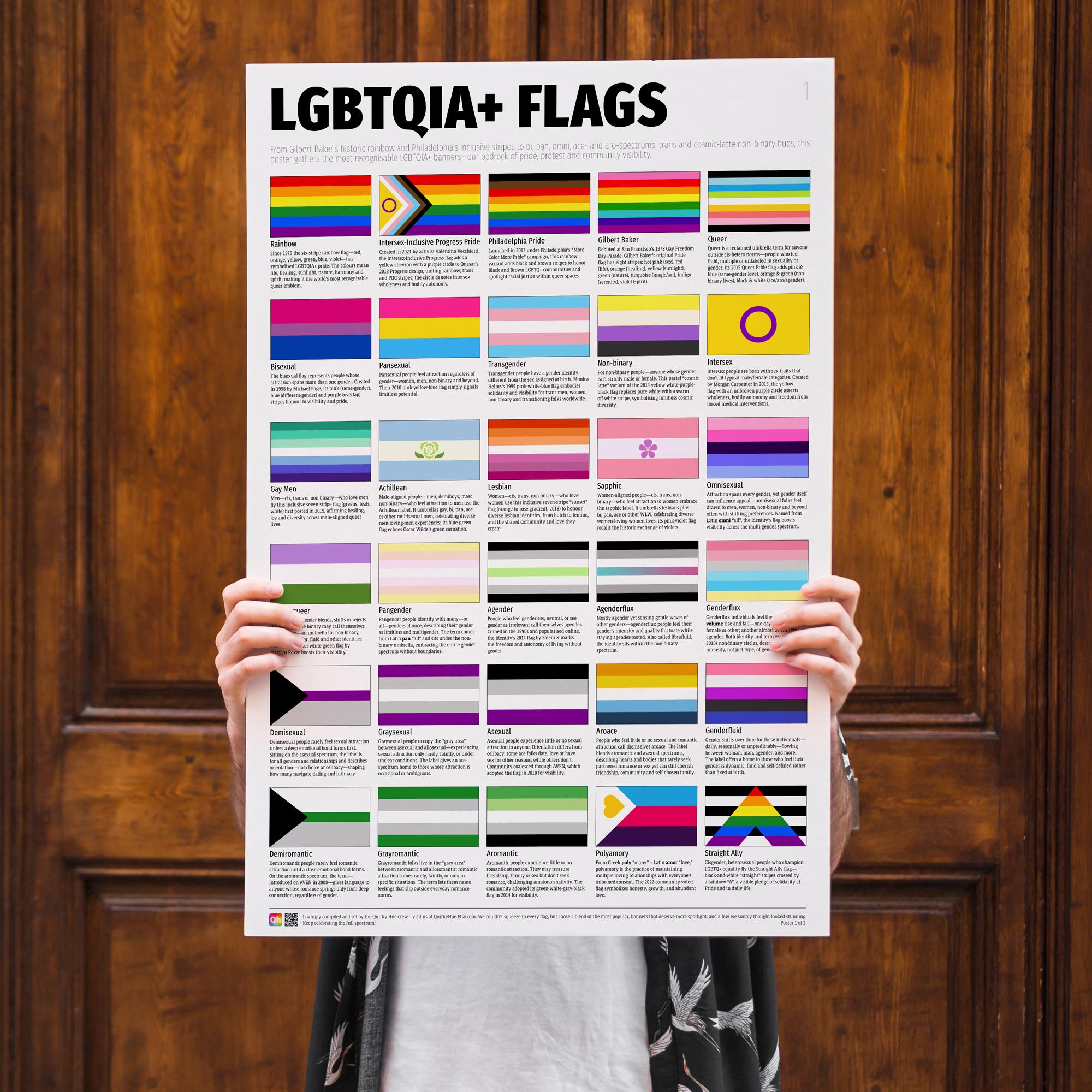 LGBTQ Pride Flag Posters Set of 2 – 60 Inclusive LGBTQIA+ Flags Wall ...