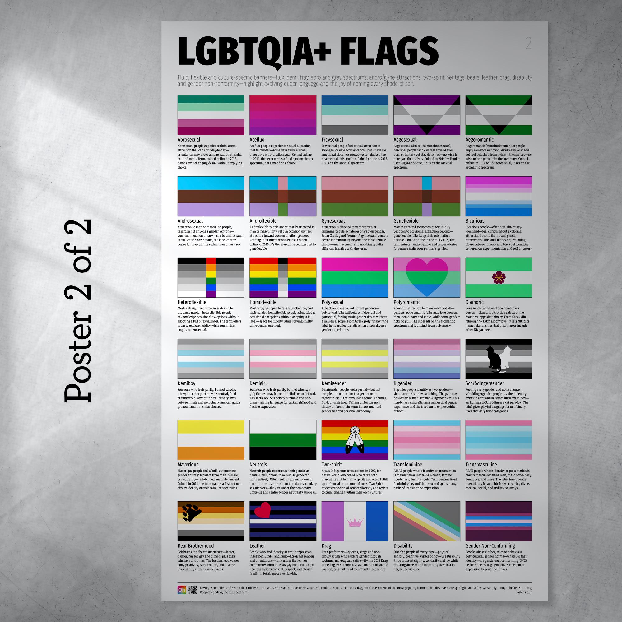 LGBTQ Pride Flag Posters Set of 2 – 60 Inclusive LGBTQIA+ Flags Wall ...