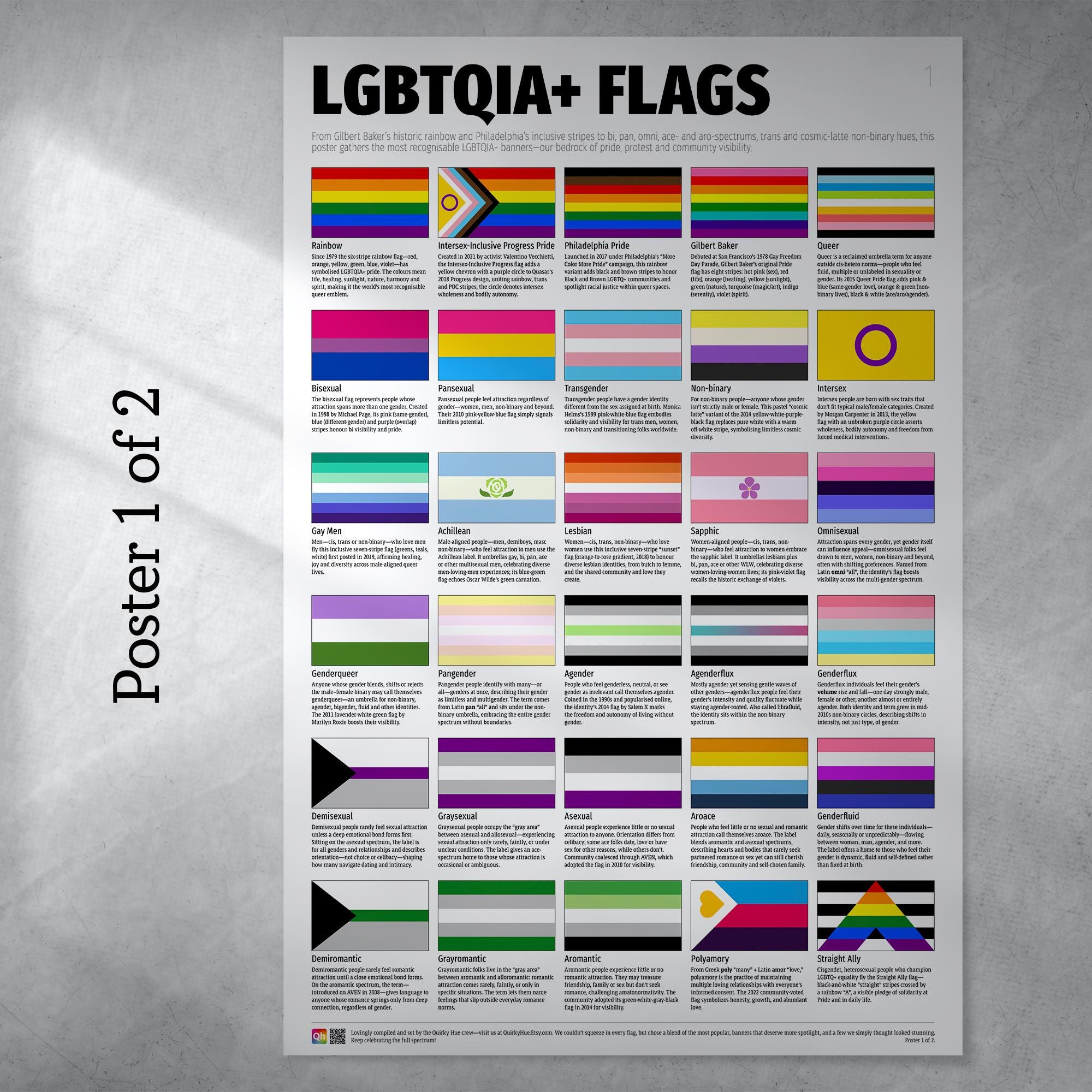 LGBTQ Pride Flag Posters Set of 2 – 60 Inclusive LGBTQIA+ Flags Wall ...