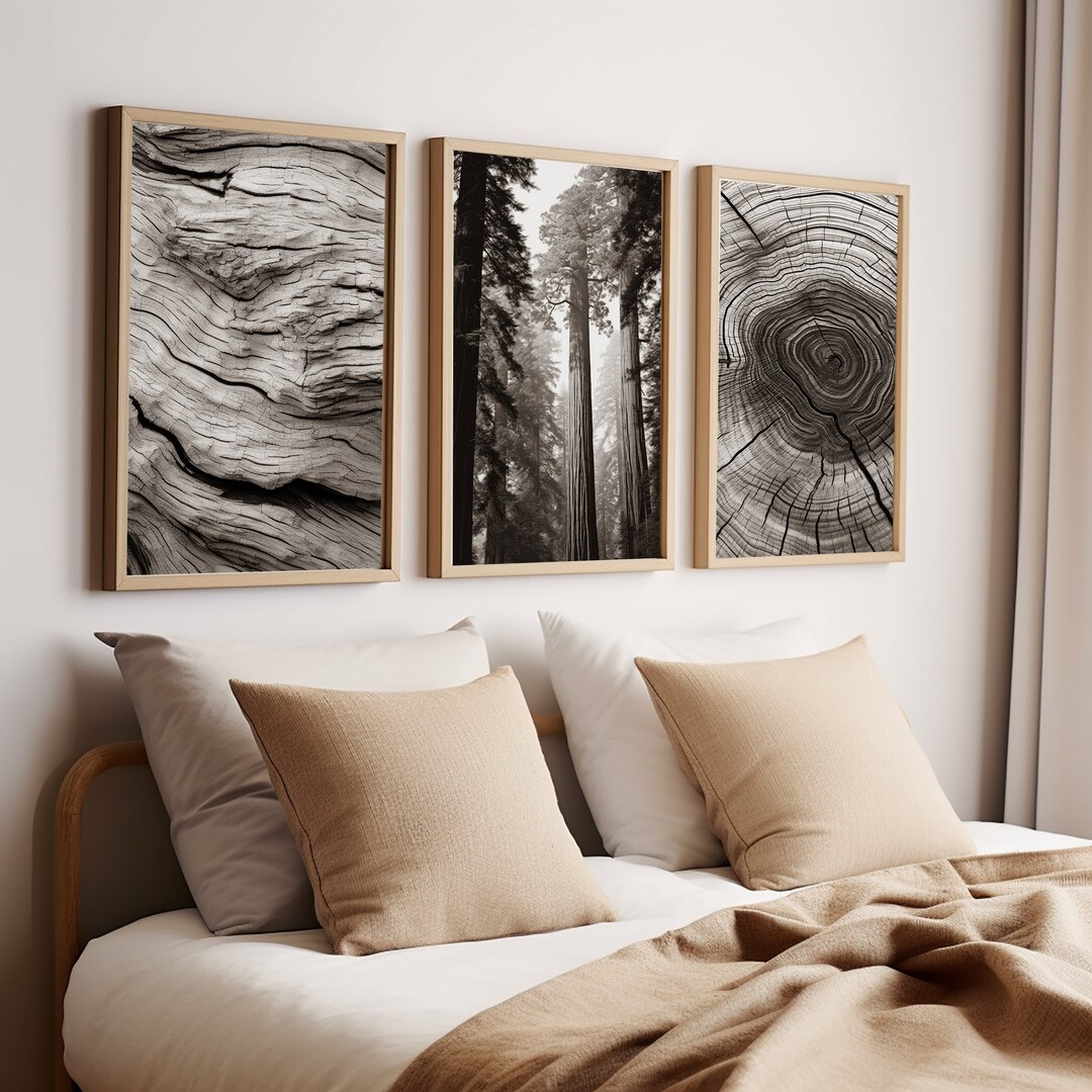 Set of 3 Tree Bark Posters. Sequoia. Tree Bark Triptych Digital ...