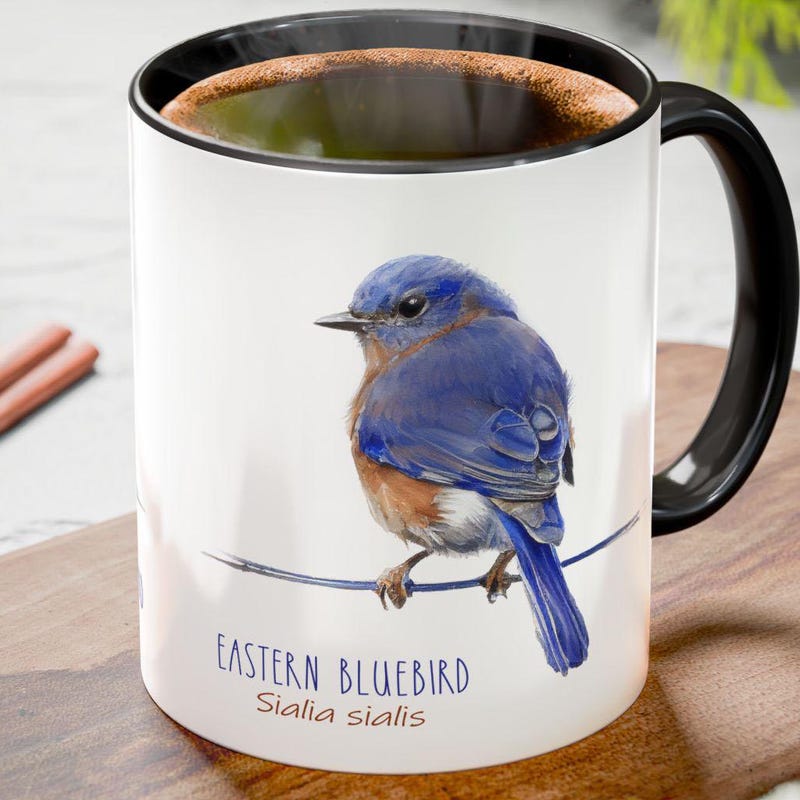Bluebird Pottery - Etsy