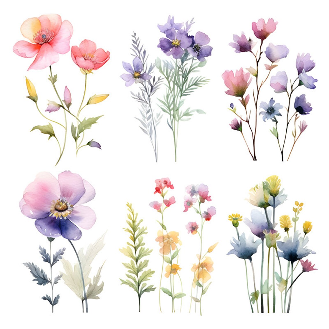 Meadow Flowers Watercolor Clipart Set, Collection of 56 Hires Pngs ...