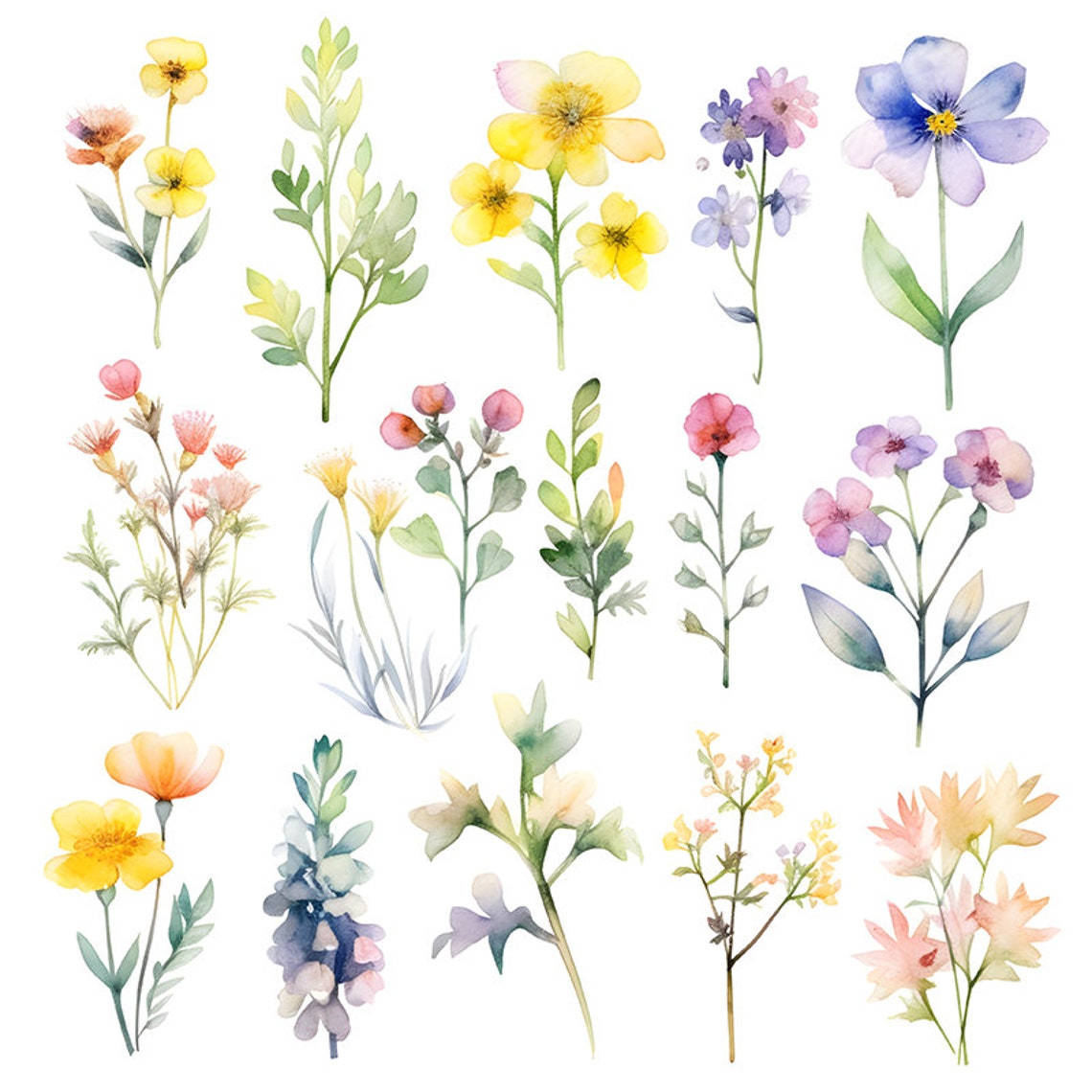 Meadow Flowers Watercolor Clipart Set, Collection of 56 Hires Pngs ...