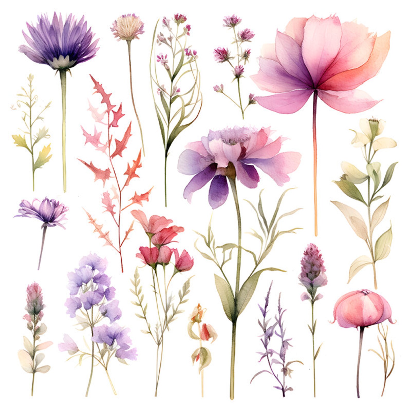 Meadow Flowers Watercolor Clipart Set, Collection of 56 Hires Pngs ...