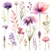 Meadow Flowers Watercolor Clipart Set, Collection of 56 Hires Pngs ...