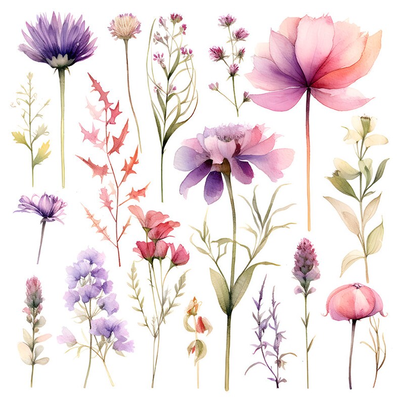 Meadow Flowers Watercolor Clipart Set, Collection of 56 Hires Pngs ...