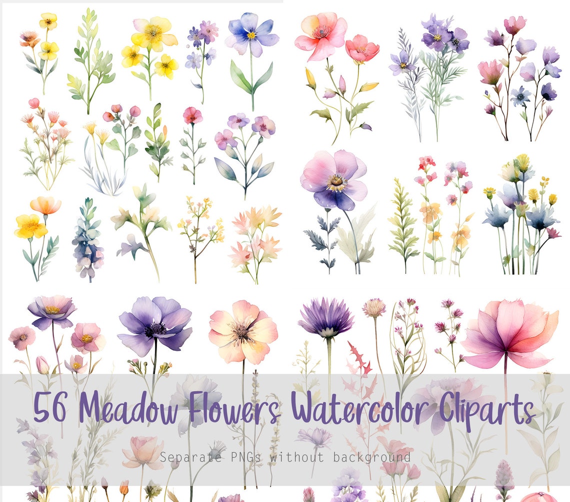 Meadow Flowers Watercolor Clipart Set, Collection of 56 Hires Pngs ...