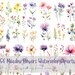 Meadow Flowers Watercolor Clipart Set, Collection of 56 Hires Pngs ...