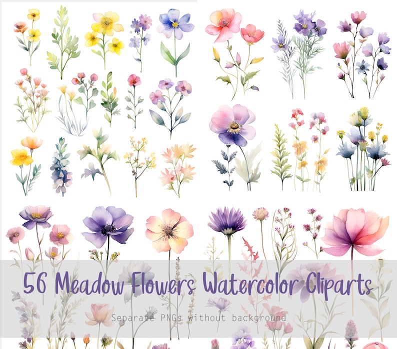 Meadow Flowers Watercolor Clipart Set, Collection of 56 Hires Pngs ...