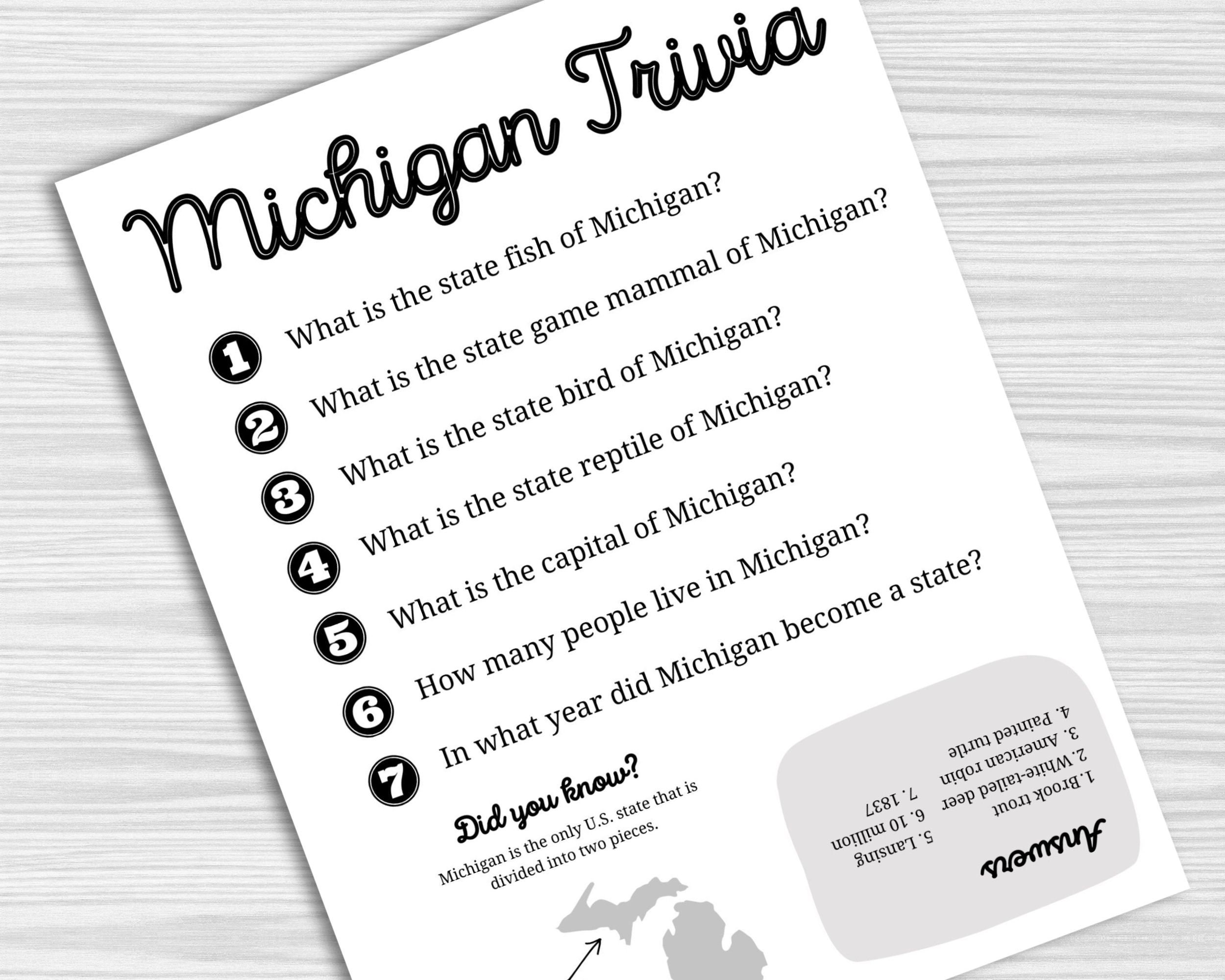 Michigan Activity Pack: State Symbols, Trivia, Word Search (PDF) - Etsy