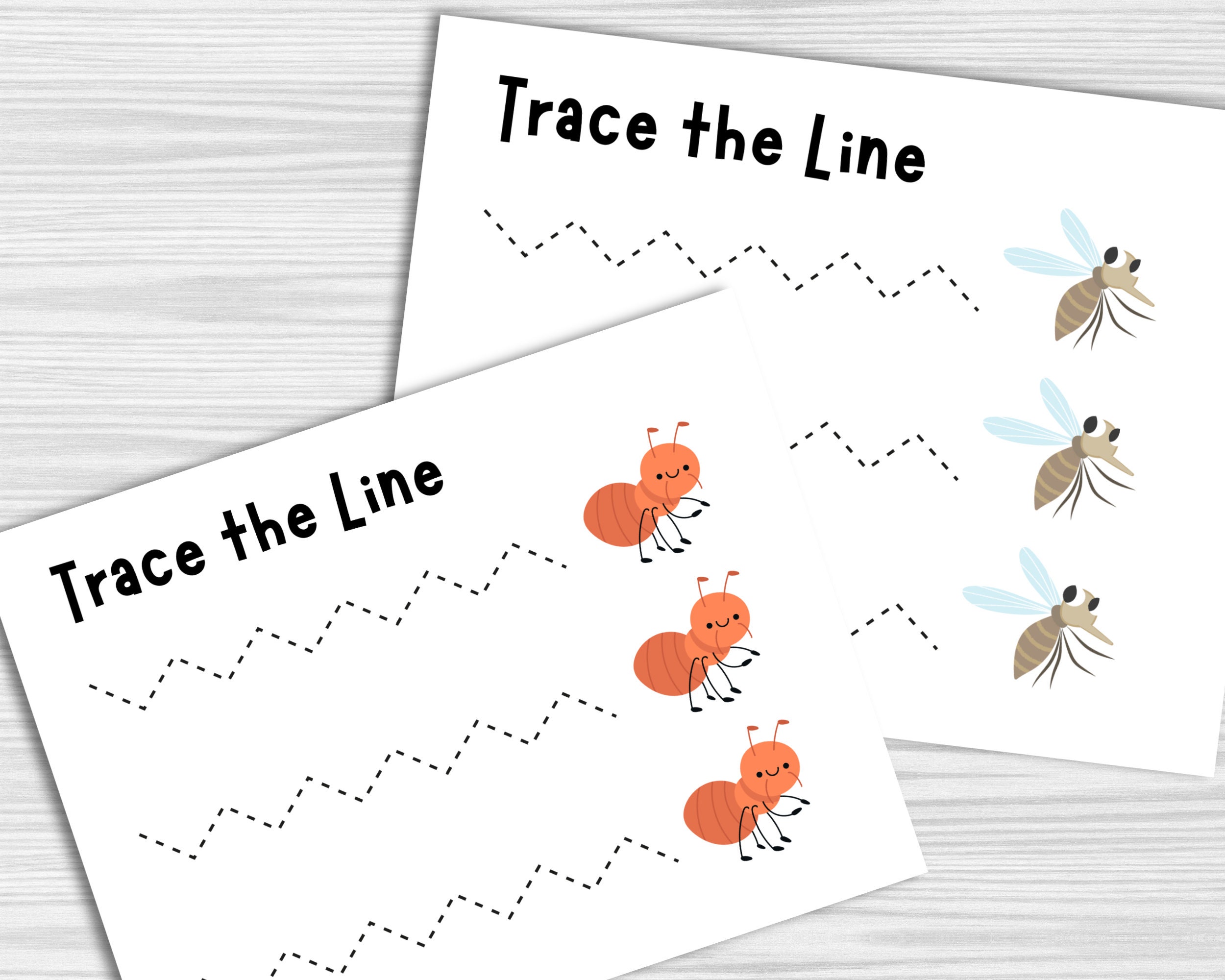 Insect Tracing Pages, Insect Printable, Tracing Practice, Tracing for ...