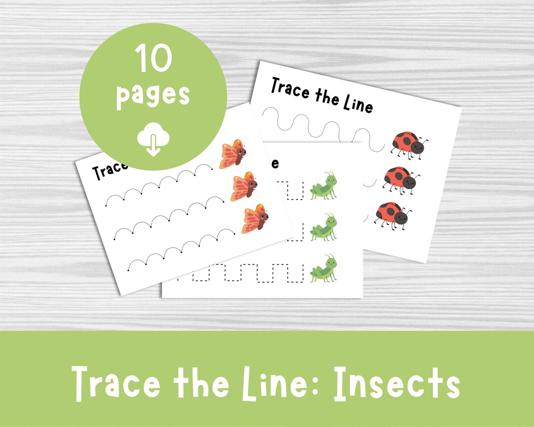 Insect Tracing Pages, Insect Printable, Tracing Practice, Tracing for ...
