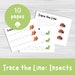 Insect Tracing Pages, Insect Printable, Tracing Practice, Tracing for ...