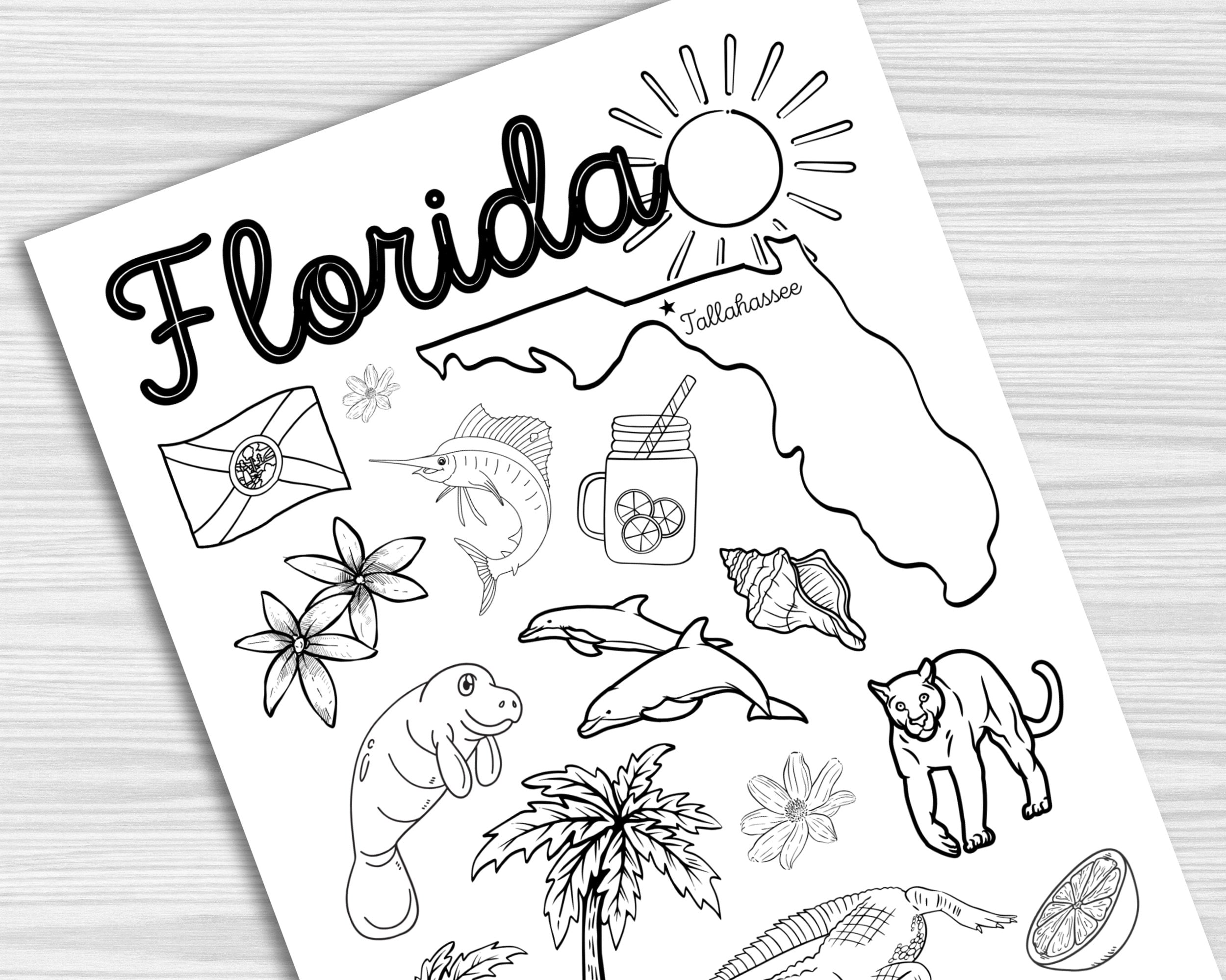 Set of 5 Florida Worksheets, State of Florida Printable, Word Search ...
