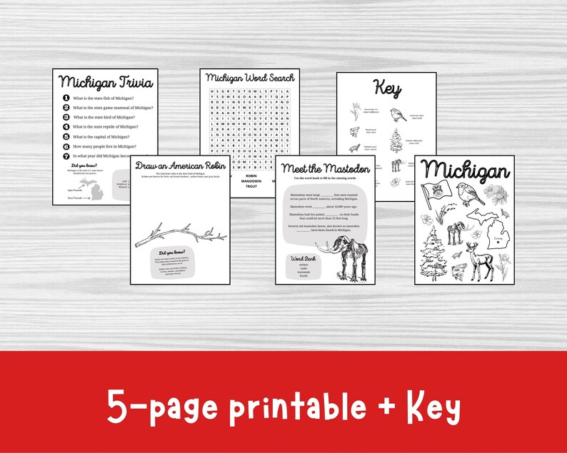 Michigan Activity Pack: State Symbols, Trivia, Word Search (PDF) - Etsy