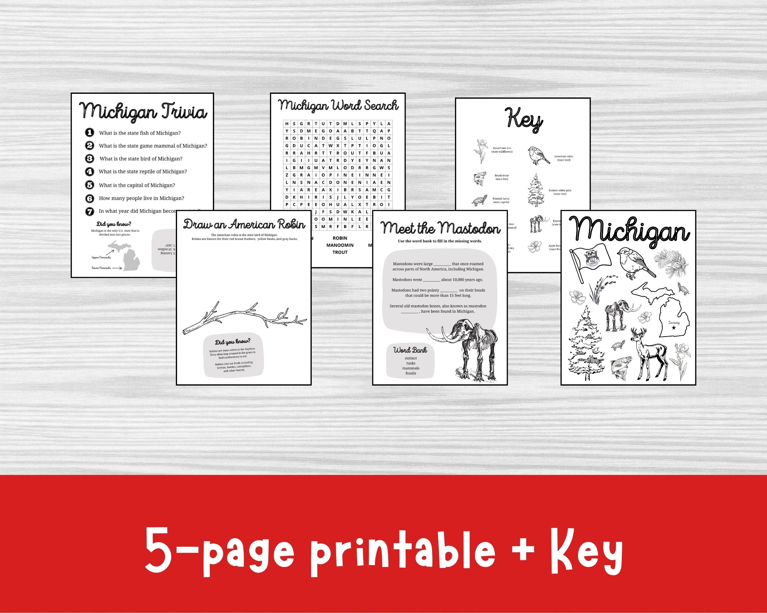 Michigan Activity Pack: State Symbols, Trivia, Word Search (PDF) - Etsy
