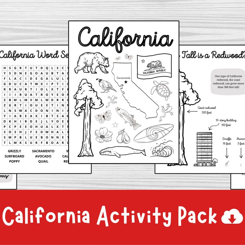 California Activity Pack: State Symbols, Trivia, and Word Search ...