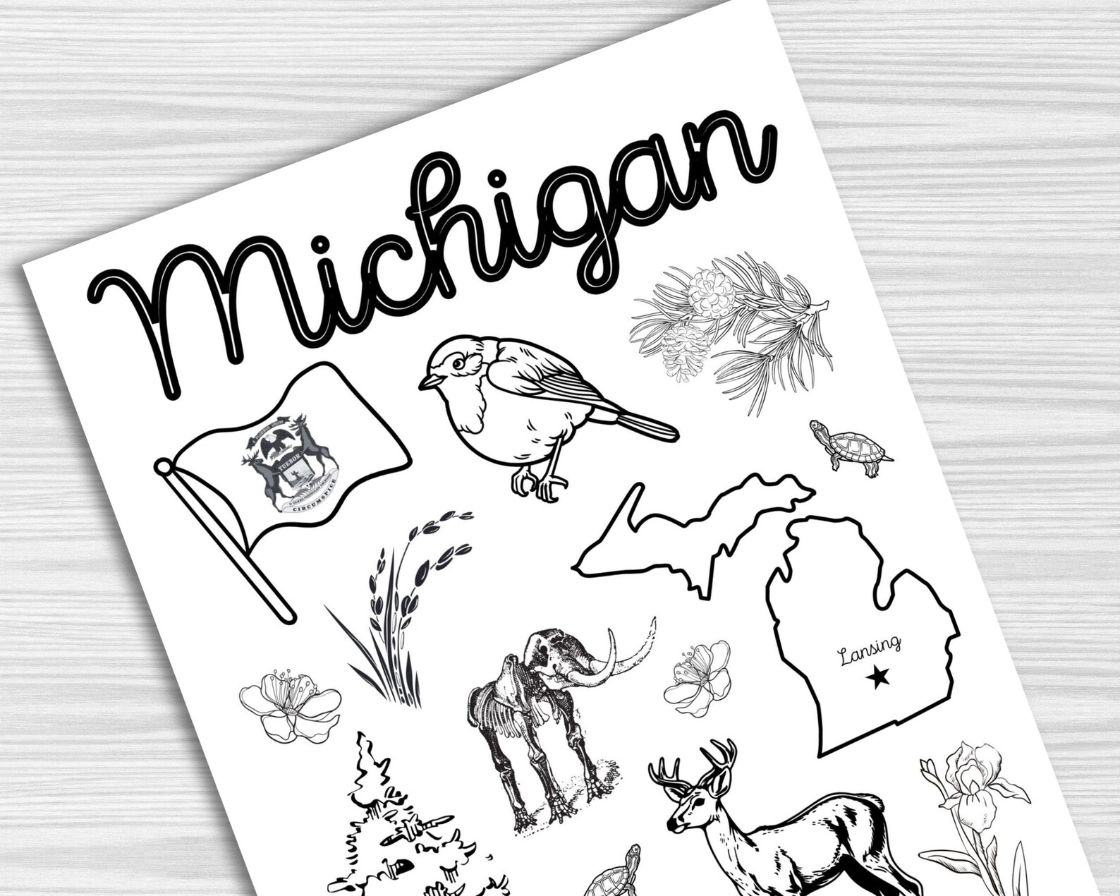 Michigan Activity Pack: State Symbols, Trivia, Word Search (PDF) - Etsy